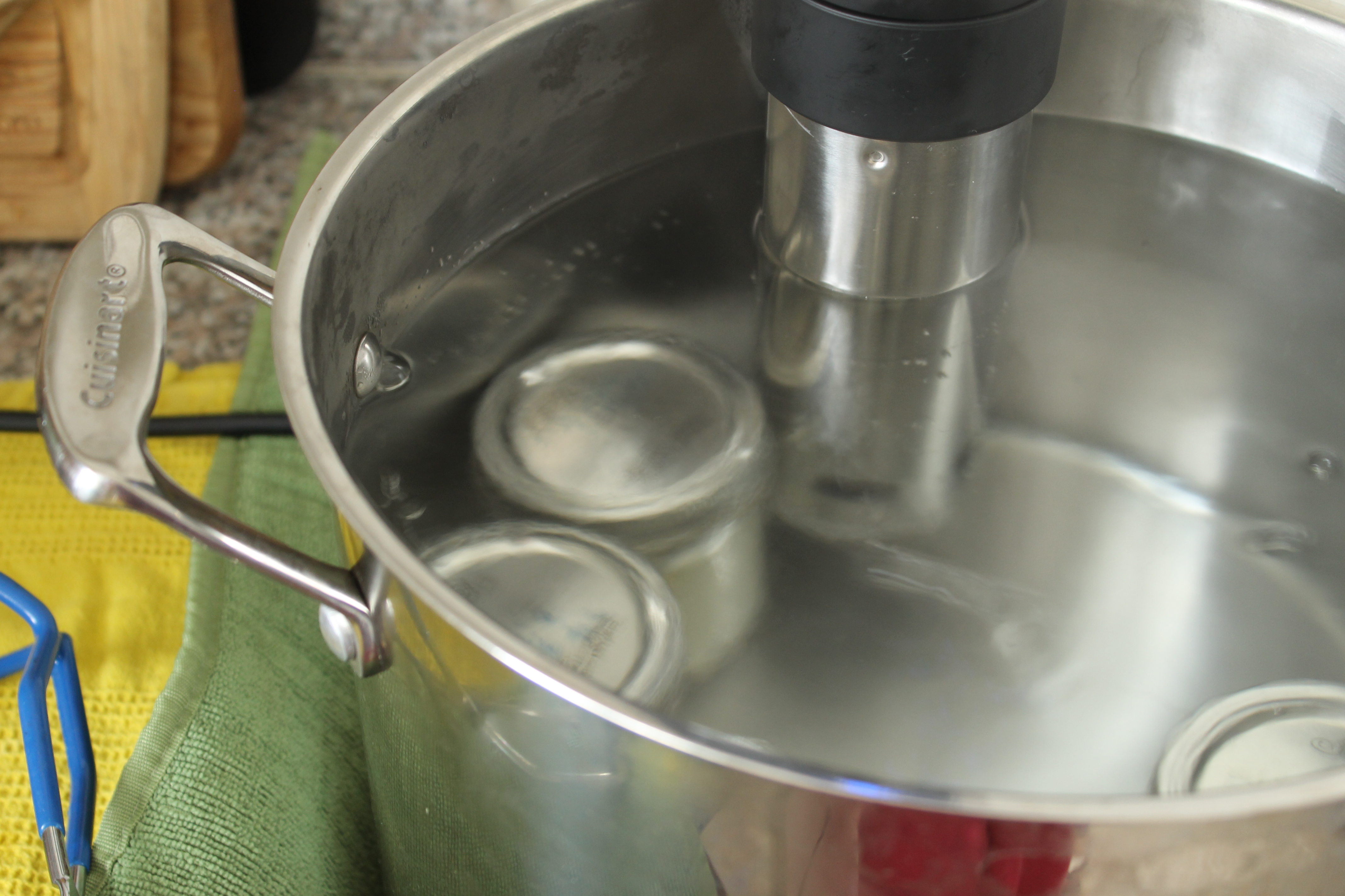 Sous Vide Blueberry Muffins