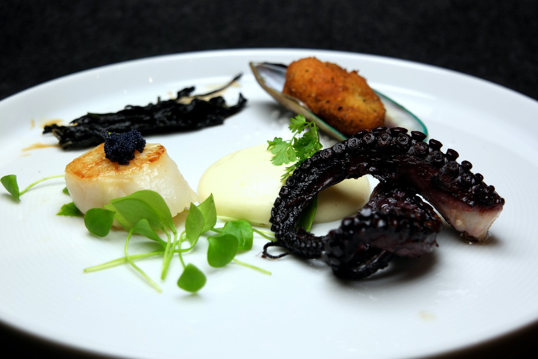 Sous Vide Octopus